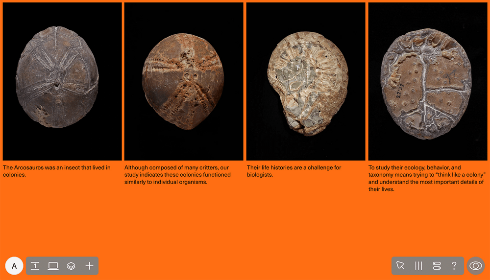 Group editing: Keep your designs consistent with less effort